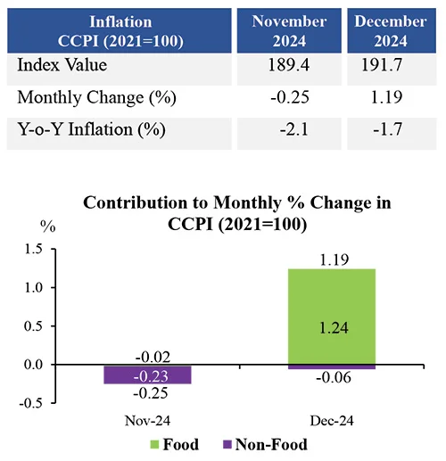 CCPI-based headline inflation continued to remain in negative territory in December 2024 – The ...