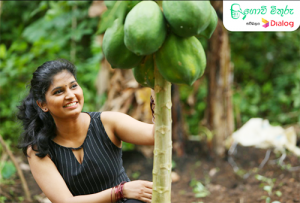 Govi Mithuru by Dialog Axiata empowers Sri Lankans to grow their own ...
