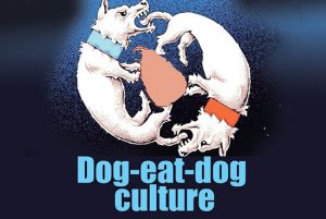 Dog-eat-dog culture – The Island