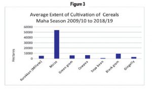 Let us grow crops to feed people – The Island