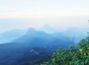 Climbing Sri Pada – The Island