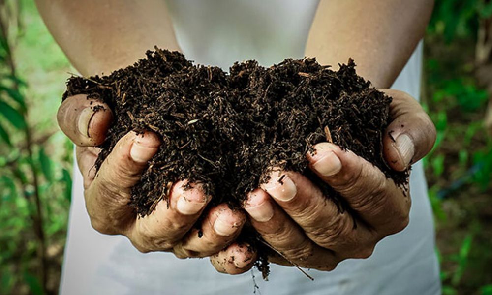 Contaminated fertiliser: Case to be taken up on May 09 – The Island