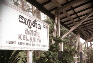 Kelaniya has become crime capital of Sri Lanka – The Island