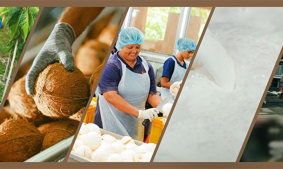 Nestlé Lanka’s Distribution Center marks 4,000 days of safe operations ...