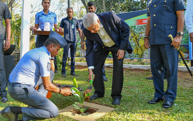 President launches island wide program to plant 3M jackfruit trees ...