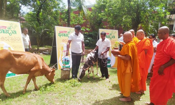 Maliban goes green with its six subsidiaries receiving Carbon Footprint ...