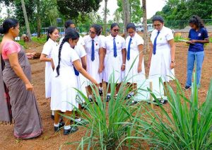 Prásara commits to take Hela Osu to next gen with new Herbarium – The ...