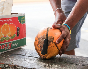Thambili : the king of all coconuts – The Island