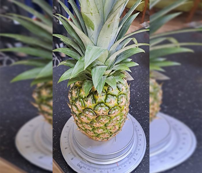 Let’s try pineapple remedy – The Island