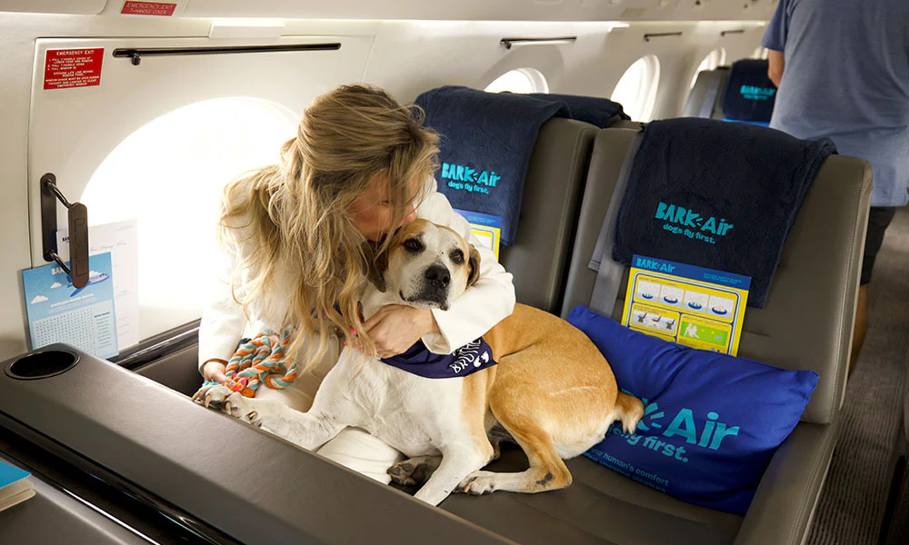 ‘BARK Air’ the world’s first doggy jet service will take off on May 23 ...