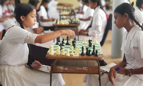 COVID-19 and Malthusian theory – The Island