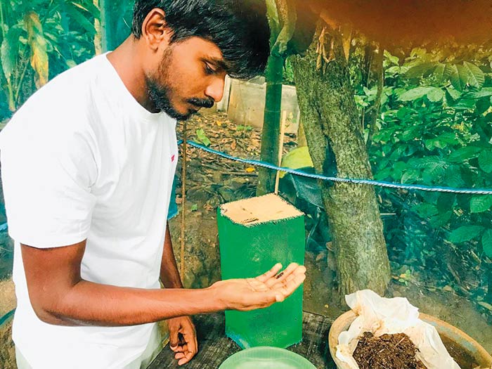 UNDP supports Eden Groups in revolutionizing poultry feed with BSF ...