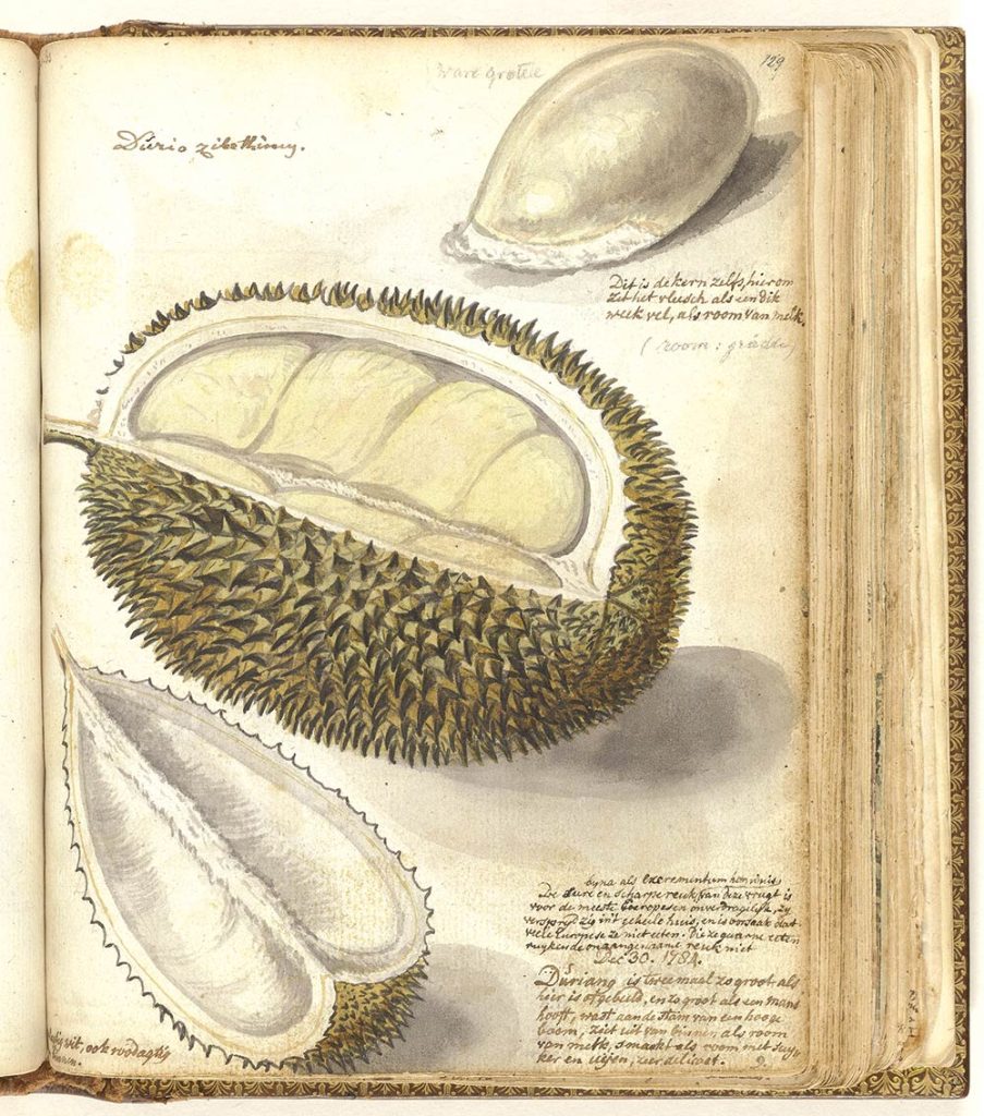 Love it or loathe it -Durian – The Island
