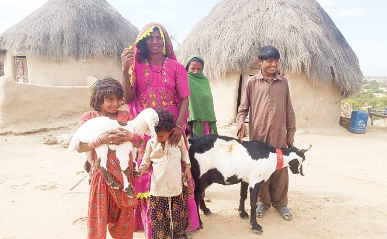 Fieldwork and Travels in Rural Sindh, Pakistan – The Island