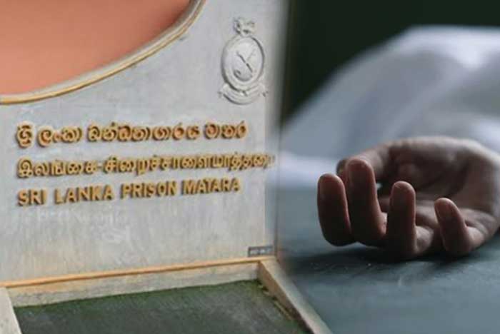 Police, STF, Army deployed outside Matara prison after falling tree ...