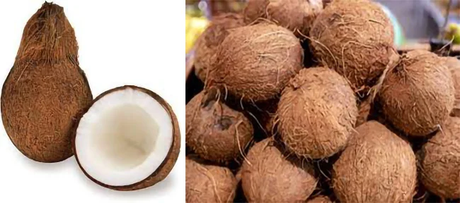 Govt. to import coconut products ? – The Island