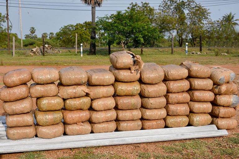 Haul of Kerala cannabis found – The Island