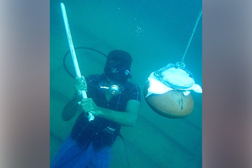 Divers perform Sinhala and Tamil New Year rituals beneath the waves ...