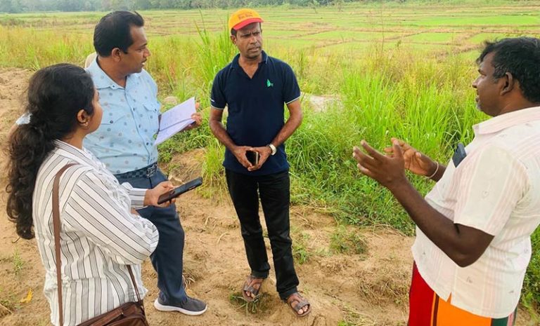 Monaragala wilting under the scorching impact of climate change – The ...