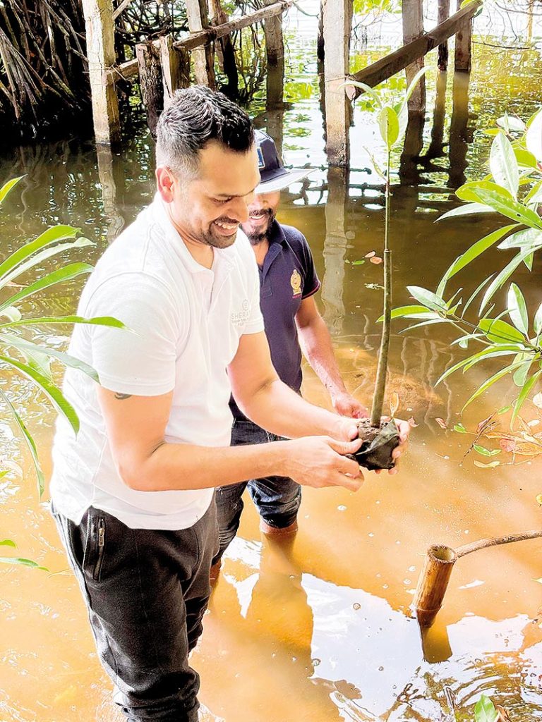 Tree planting on World Environment Day 2025 – The Island