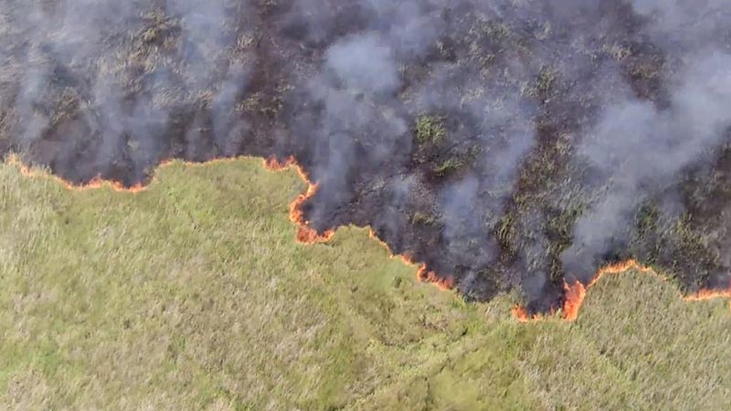 Fires cut a wide swathe through forests across SL – The Island