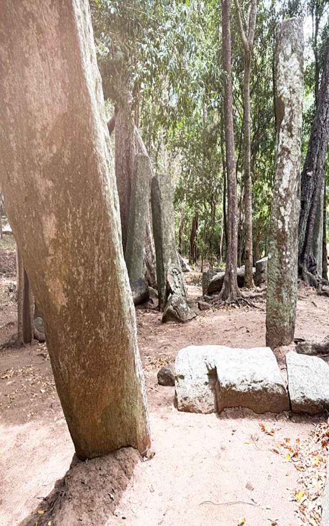 Kaludiya Pokuna- The archaeological forest of a bygone era – The Island