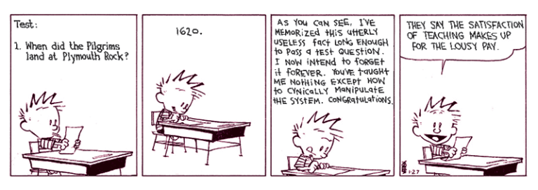 Rote learning and critical thinking – The Island