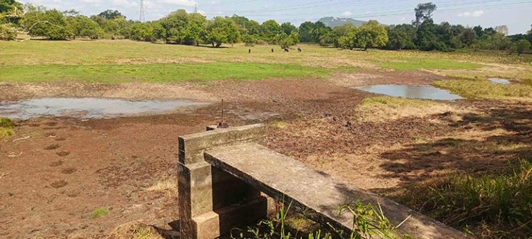 Rehabilitation of major irrigation tank stalled – The Island