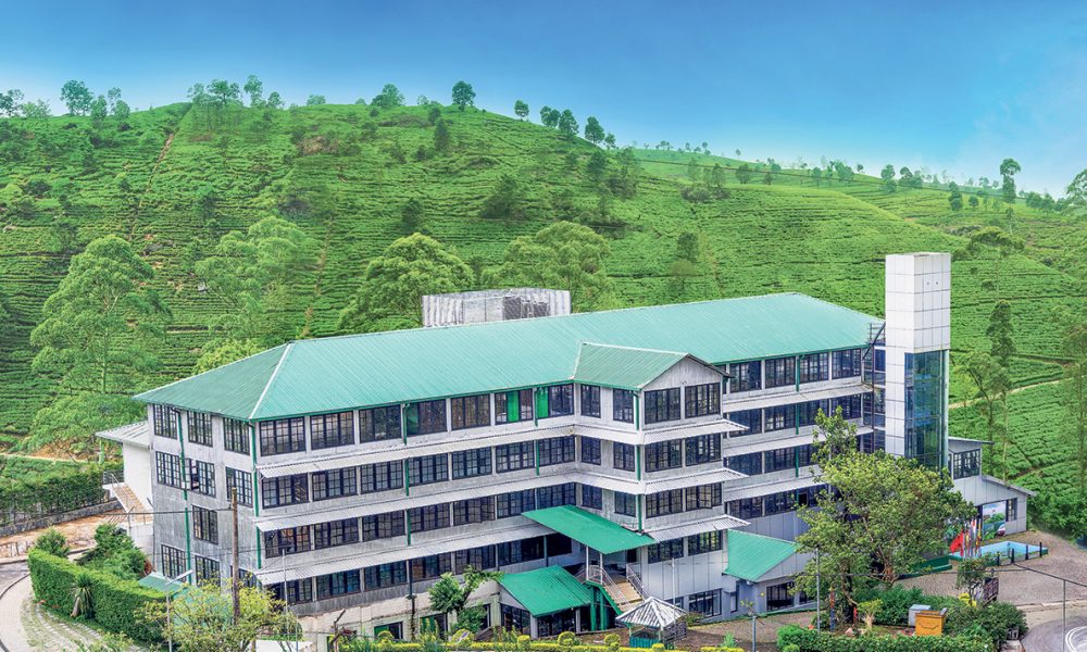 Labookellie Estate – The Island