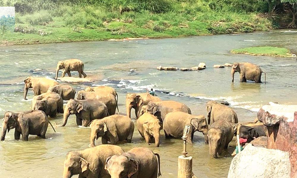 Nations Direct Enterprise offers a holistic platform for cash ...