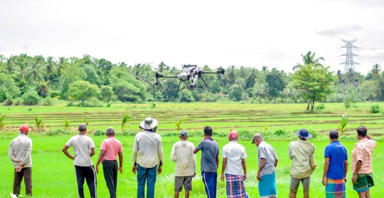 Ceylon Agro Food Technologies: Cultivating solutions for Sri Lanka’s ...