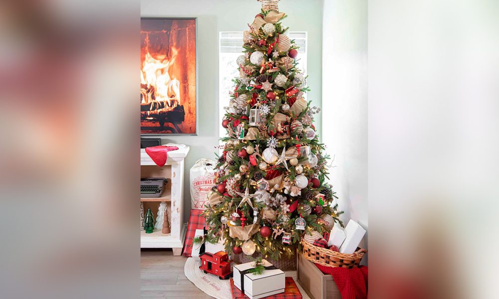 Mistletoe 2025: A festive night of music with a mission – The Island