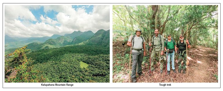 Walpolamulla trail in the Knuckles range – The Island